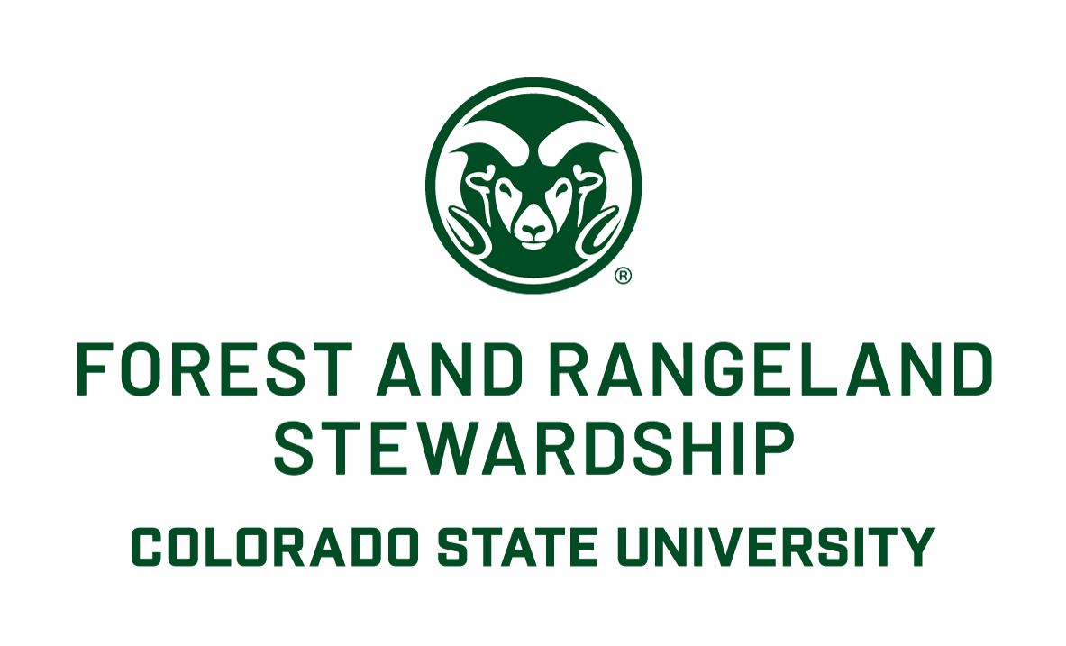 Current Programs