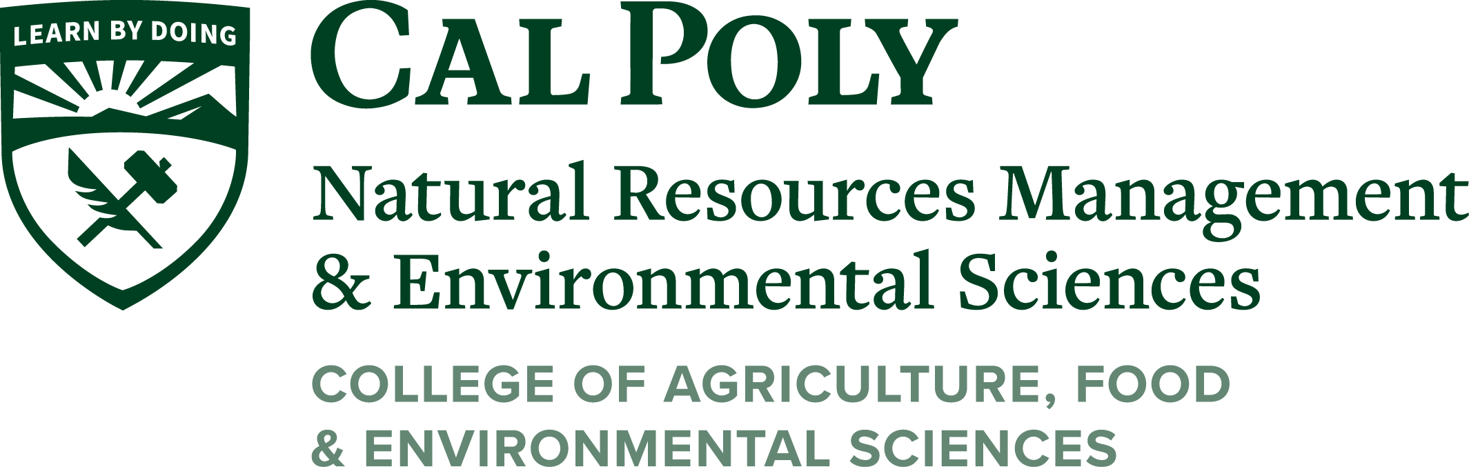 Current Programs